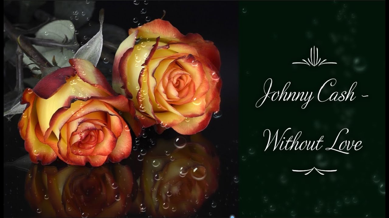 Johnny Cash - Without Love (lyrics) - YouTube