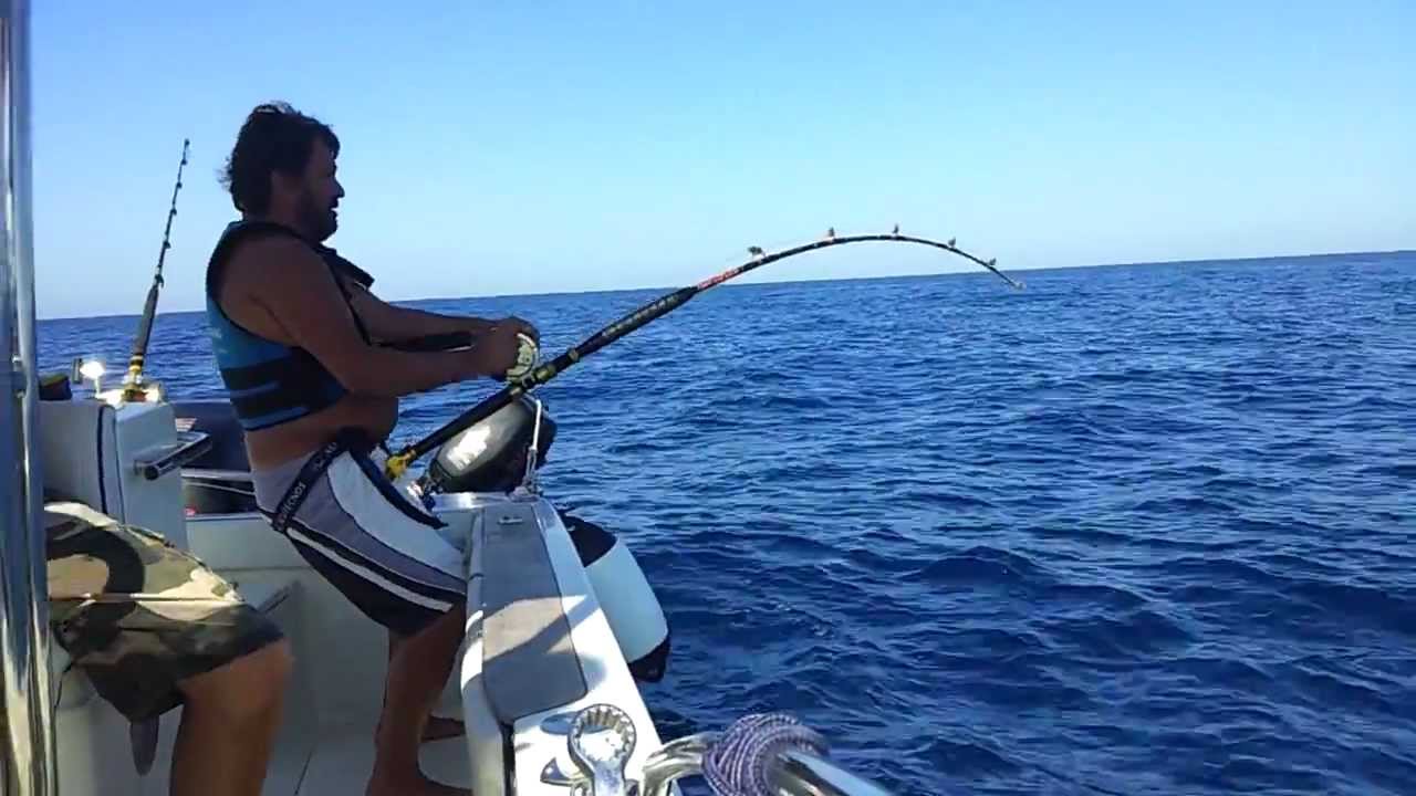 pesca al tonno rosso presso un tonno malato - YouTube