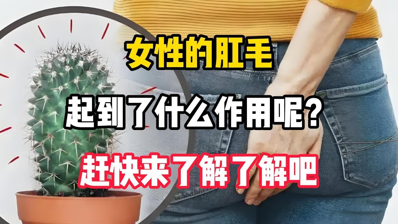 女性的肛毛起到了什么作用呢？赶快来了解了解吧 Youtube 8241
