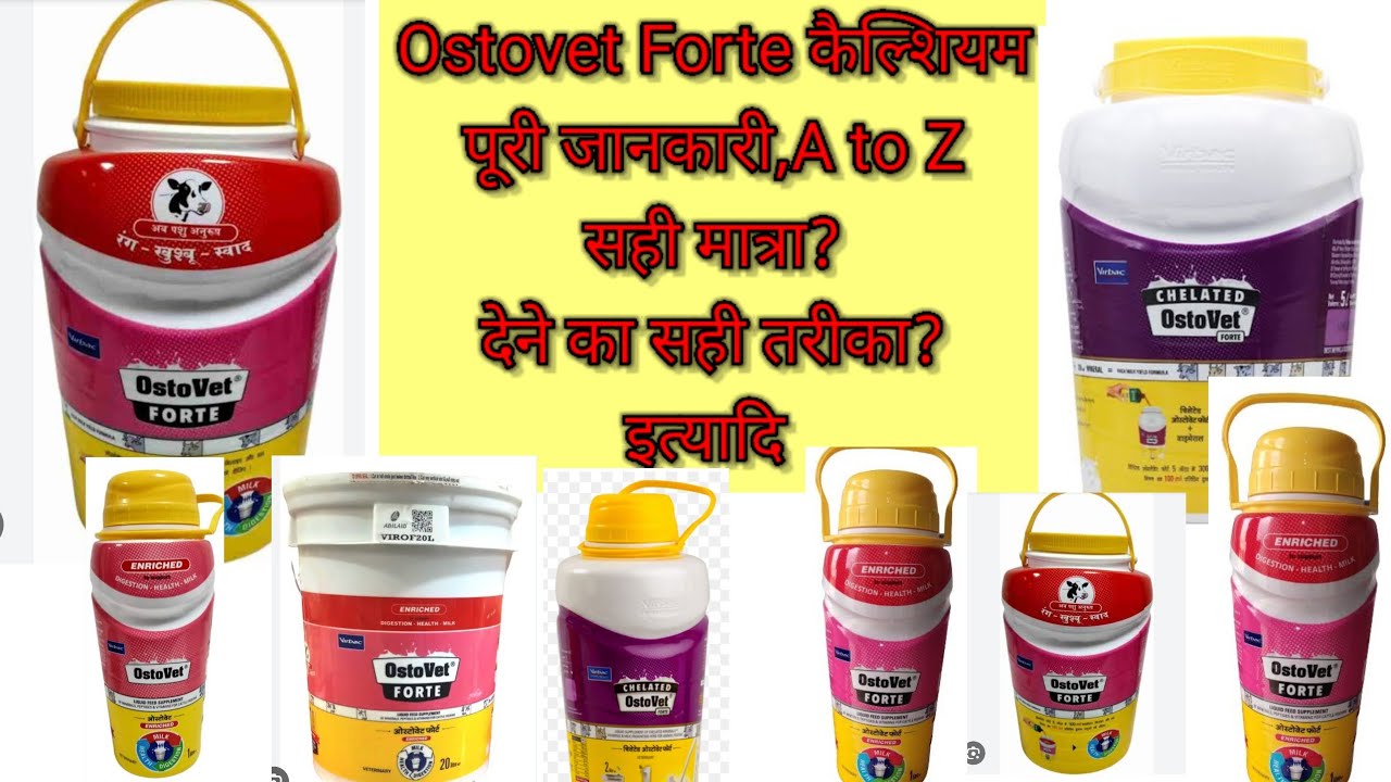Ostovet calcium details in Hindi|| ostovet forte kaise pilaye ...