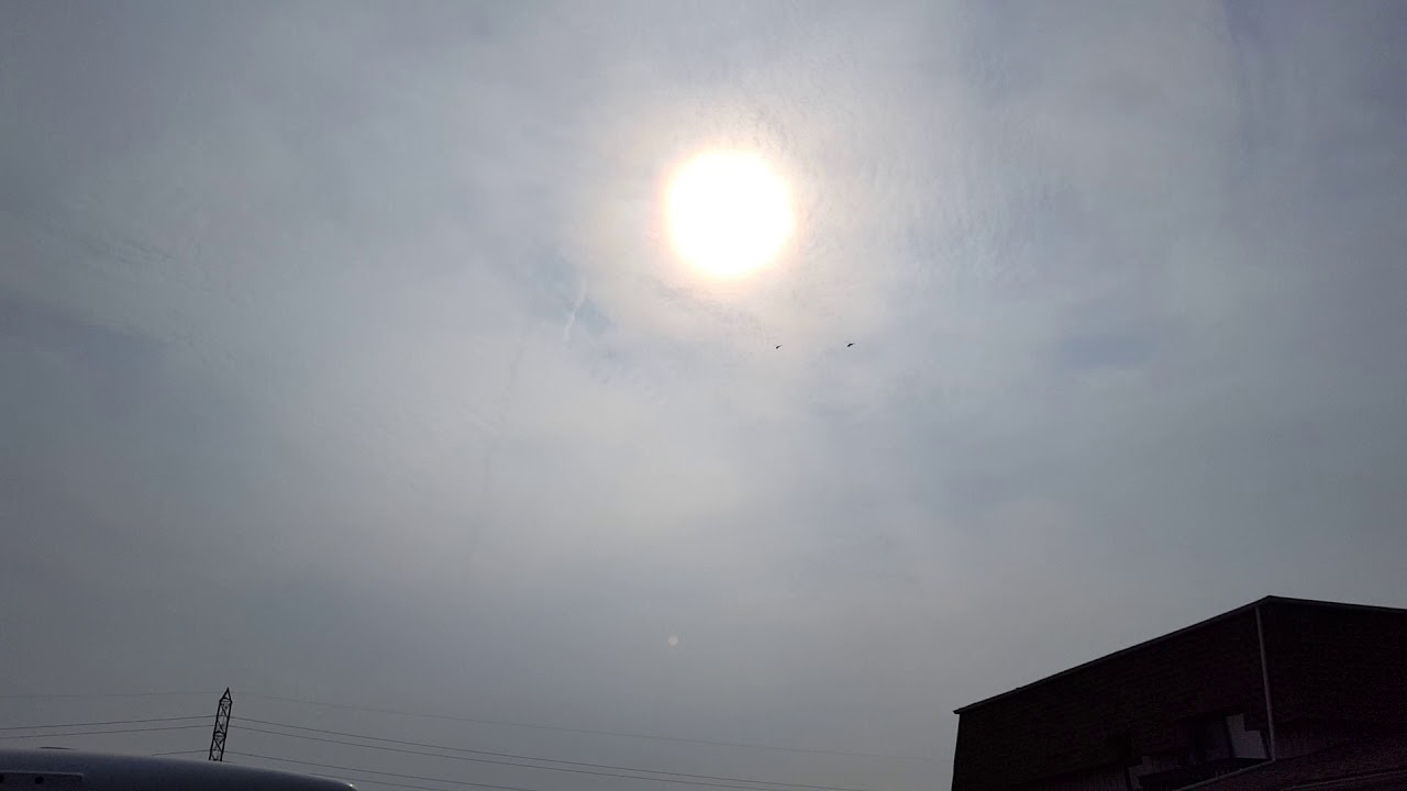 White lite, with a washed out sky. Seemed very very dark today from 9am ...