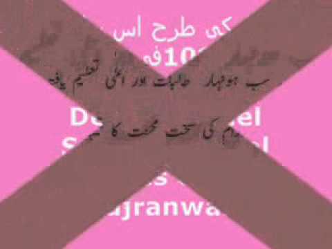 Decent Model science School - YouTube