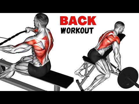 Perfect back workout at Gym | Lat Workout | Gym Back Workout - YouTube