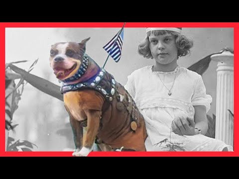 Real Sergeant Stubby Story | The War Dog Hero - YouTube