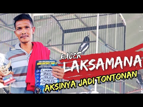 Aksi Kacer LAKSAMANA Mr Zaset Bisma Roll Speednya kembali torehkan ...