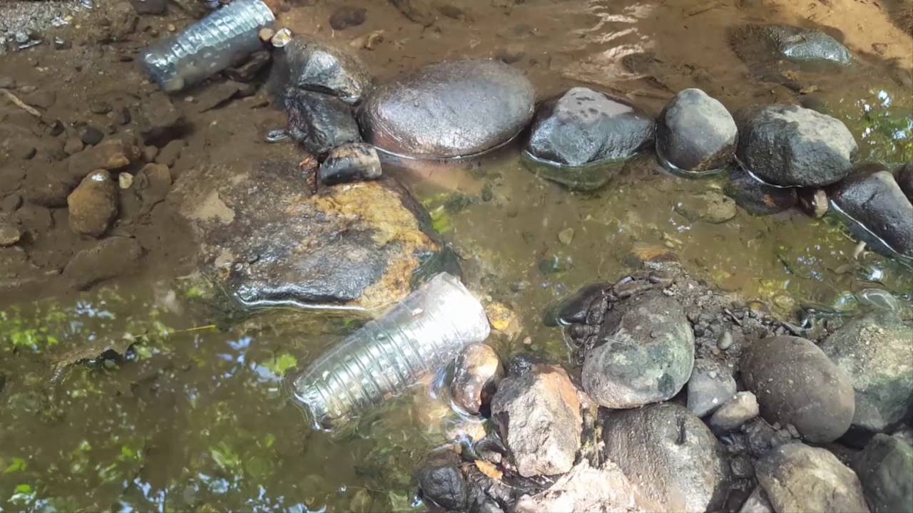 Stone Age Survivals 7 Day Challenge | Part 3 | Fish Traps And Plant ...