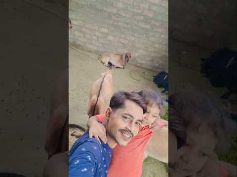 Viral video #Viral dea Viral feel shot #lvideo video viral,