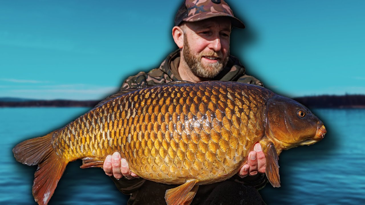 Carp Fishing on Deep Lakes | Mark Pitchers | Ladywood Lakes - YouTube