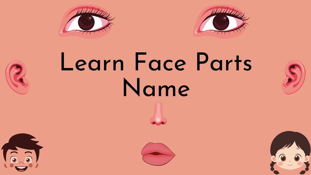 Learn Face Parts, Face Parts For Kids, Parts of Face with Spellings ...