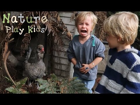 Angry chicken attacks little Kid