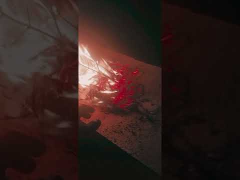 C0NTRA-TERS YÖN (SLOW-REVERB)