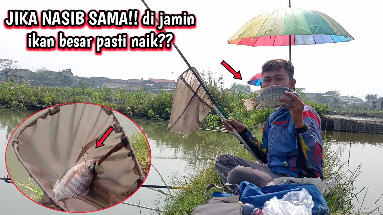 Spot jarang di jamah,, Pemancing cuek padahal banyak ikan besar di spot ...
