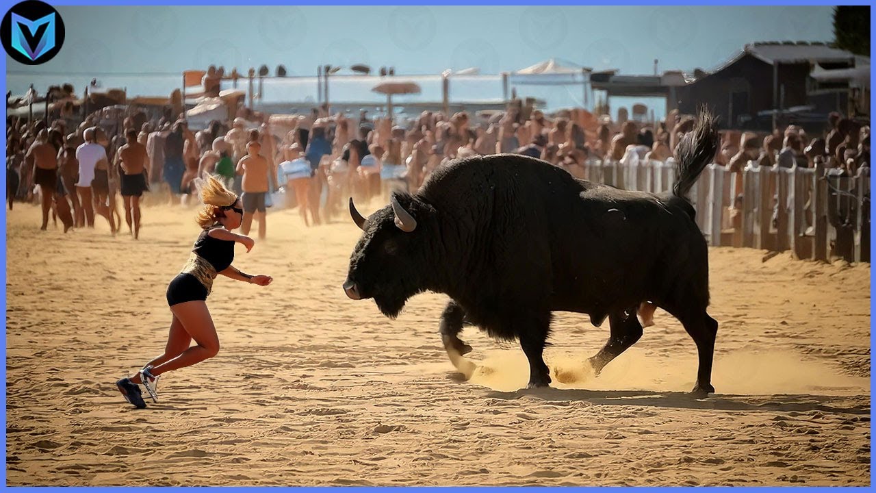 When Animals Go On A Rampage And Got Caught On Camera! #2 - YouTube