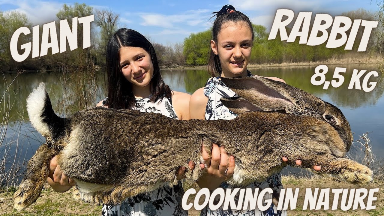 GIANT RABBIT 8,5 kg Roasted on a Steel Spit in Nature #cooking_rabbit # ...