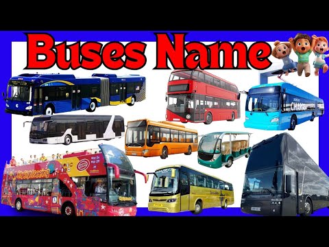 Different Types of Buses🚃🚋| Vehicles| Transport Vehicles Name ...