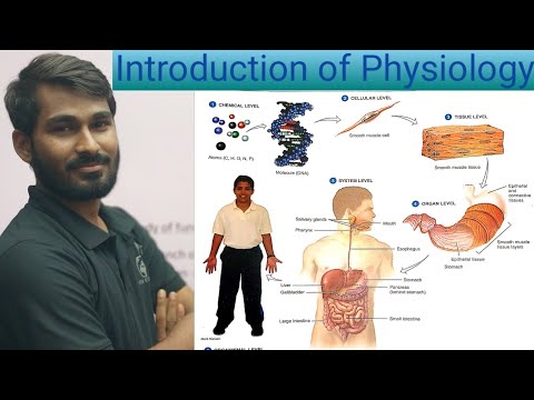 physiology | physiology introduction | physiology rapid revision | what ...
