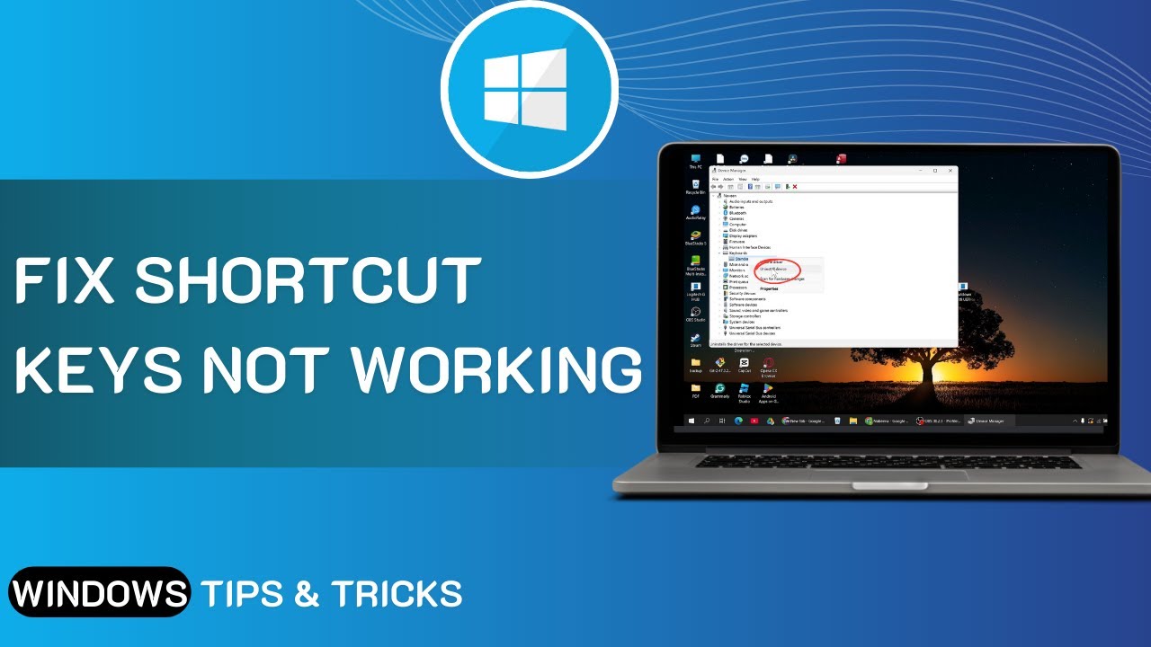 Ctrl+A CTRL+C and CTRL+V Not Working in Windows 10 Or 11 | (3 Fix For ...
