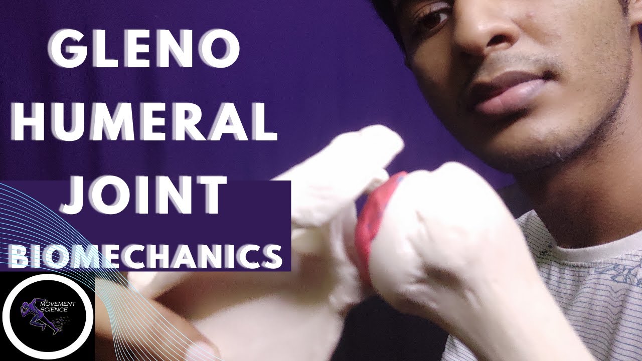 GLENO HUMERAL JOINT STRUCTURE (SHOULDER JOINT COMPLEX BIOMECHANICS ...