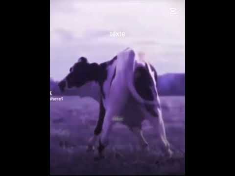 dans eden inekler 😆 #ytdayibenionecikarnolur #edit