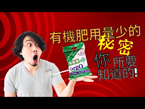 【海農寶】- NICO ORGO 甜椒田試驗影片 - YouTube