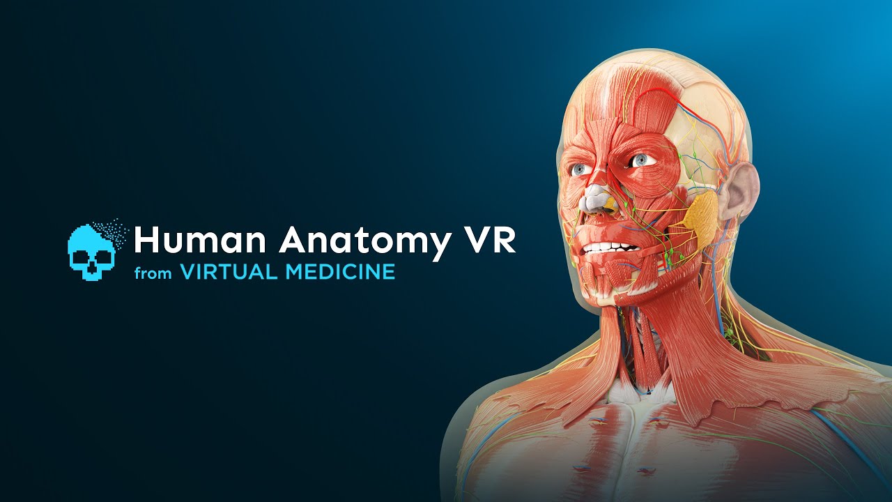 Human Anatomy VR - YouTube