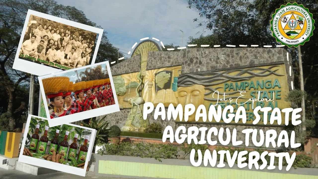 PSAU | Promotional Video 2023 - YouTube