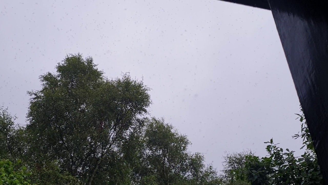 The Highland Midge - YouTube