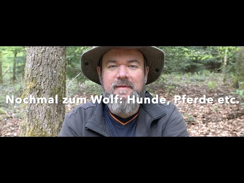 Wolf encounter with dog, horse or in camp/sleep