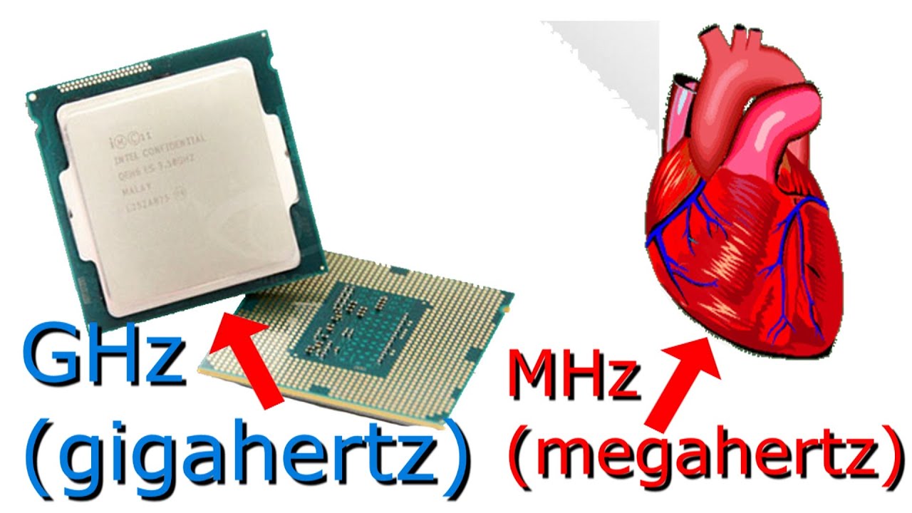 Diferen A Entre Gigahertz E Megahertz YouTube Diferen A Entre Gigahertz E Megahertz YouTube