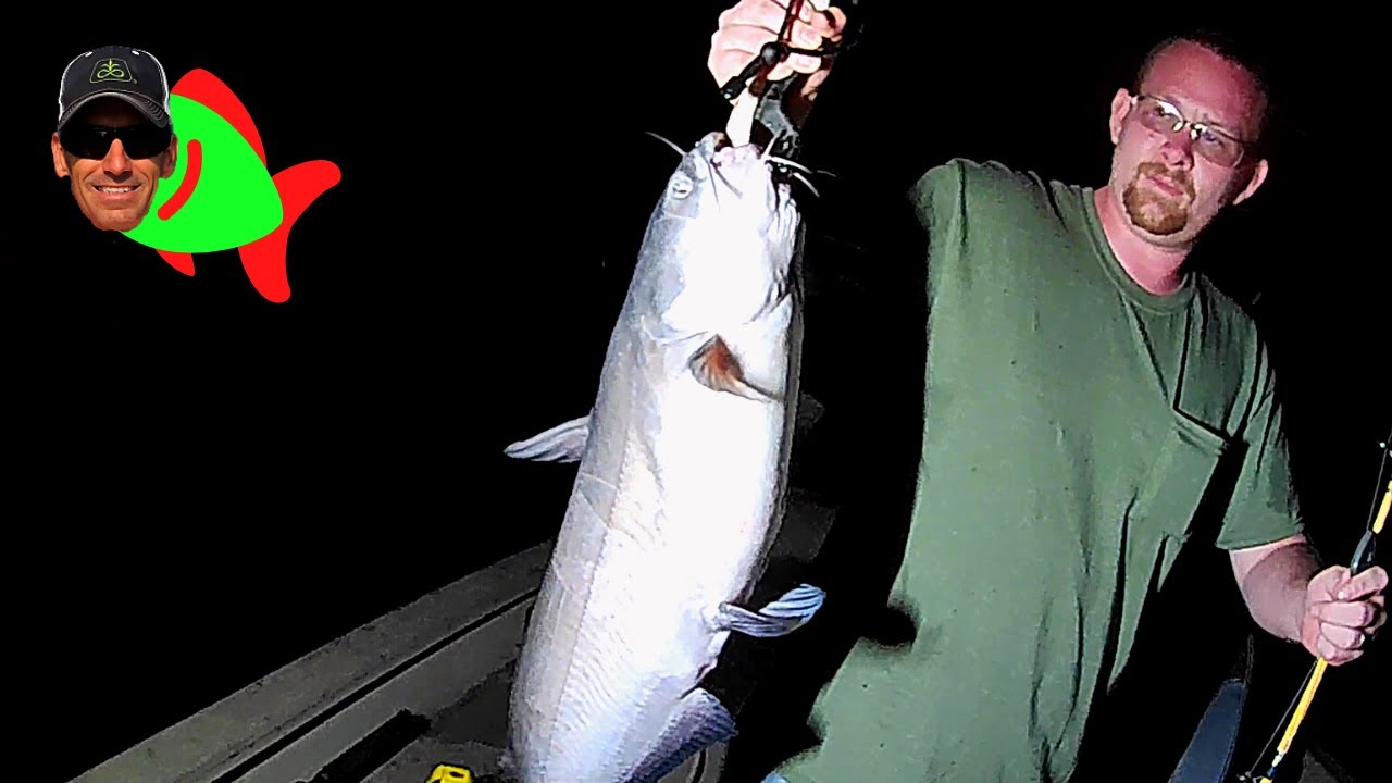 Night time Blue Catfish (August 30) - YouTube
