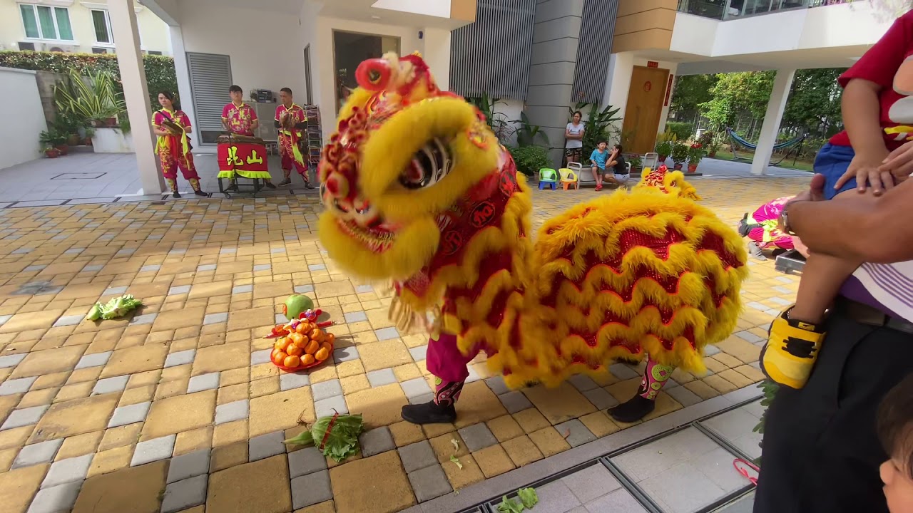 2020 CNY Lion Dance - YouTube