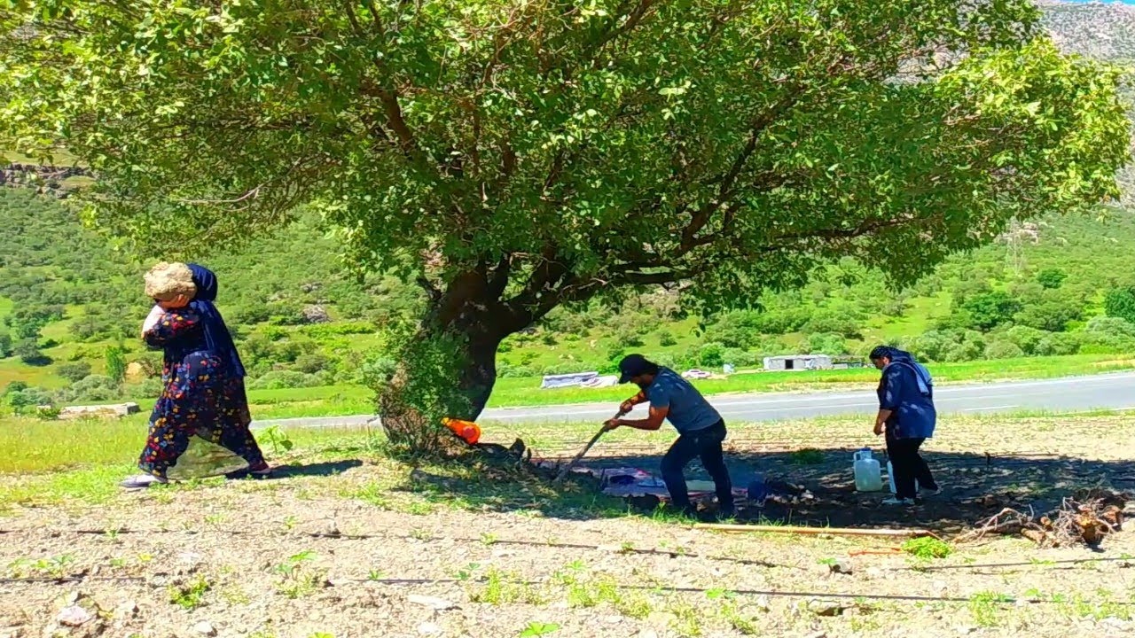 solo leveling: Do you think solo leveling of the ground under the tree ...