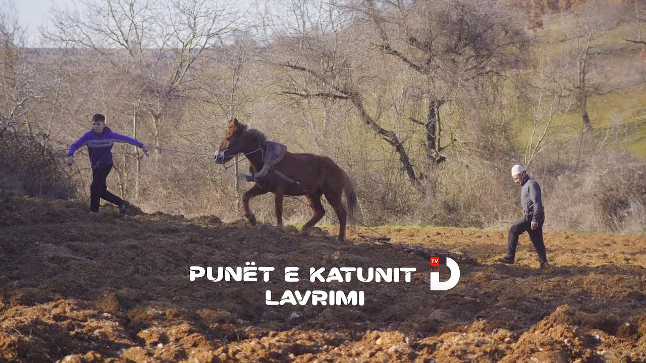 Punët e Katunit - Lavrimi (Official Video 4K) - YouTube