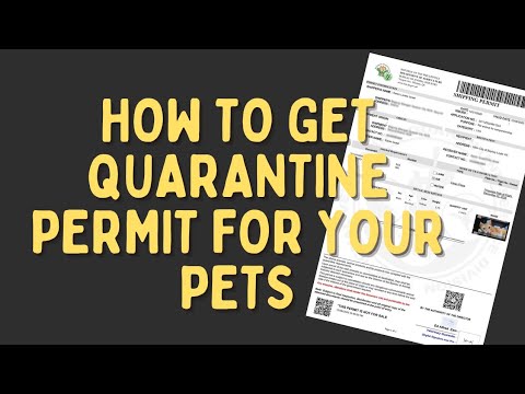 HOW TO GET A QUARANTINE PERMIT/ LOCAL SHIPPING PERMIT FOR YOUR PETS ...