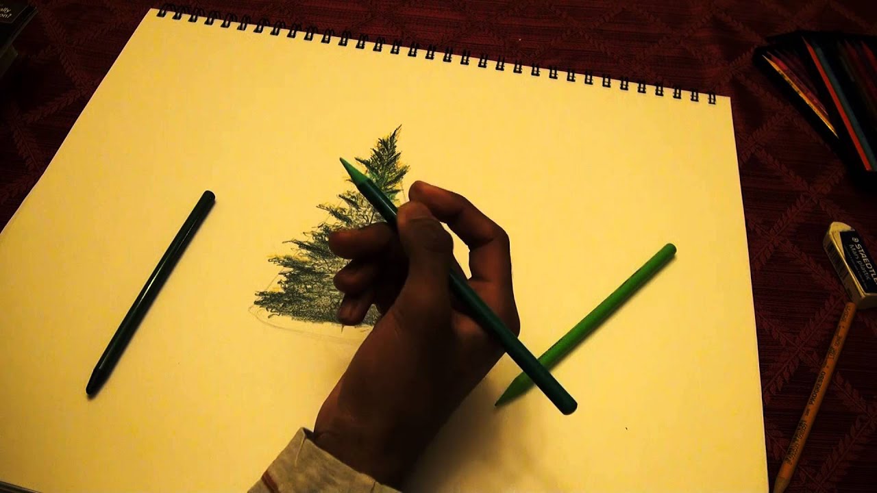 Drawing an Evergreen Tree for Kids (Novice Level) - Art for Foster Care ...