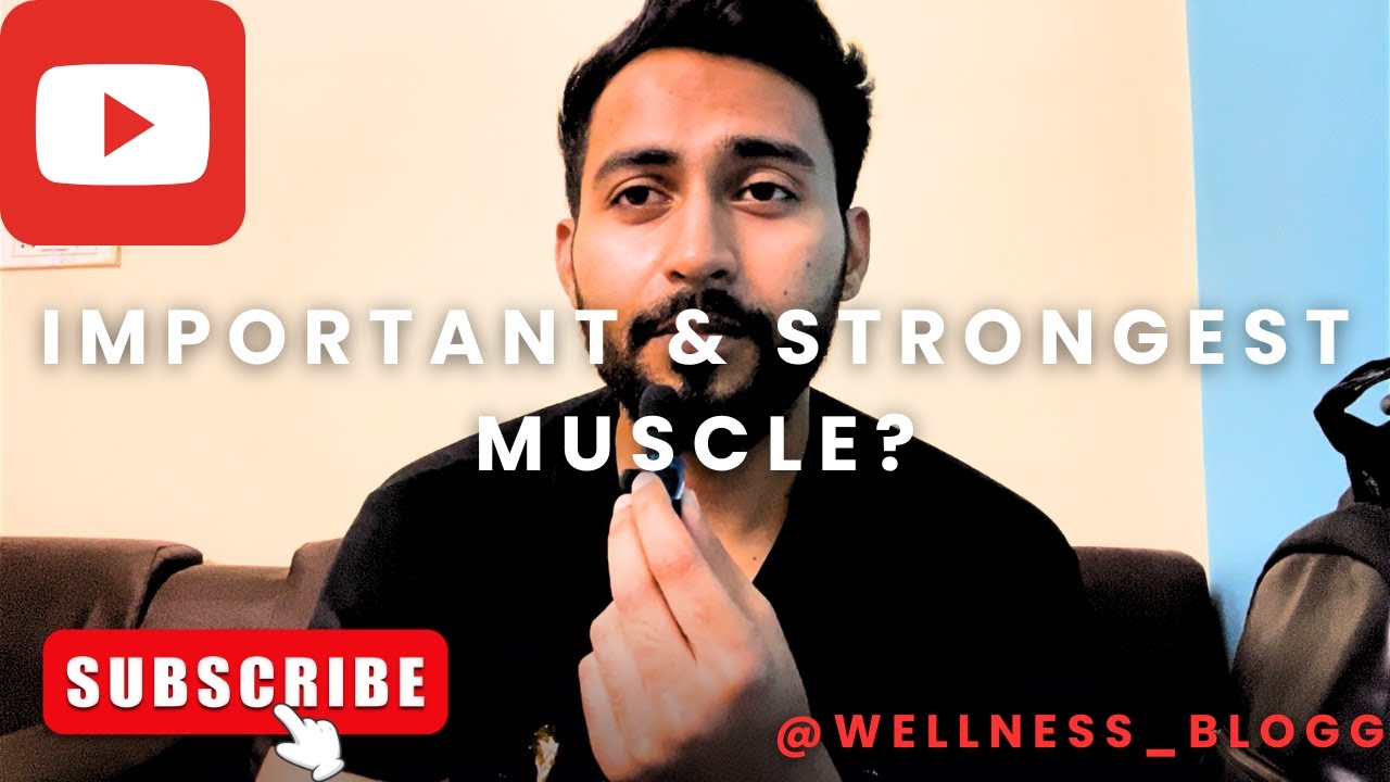 Uncover the Strongest Muscles for Lower Body Strength // Importance of ...