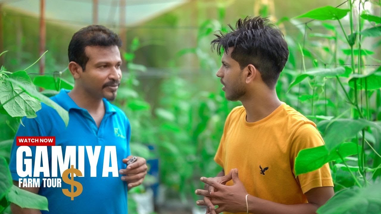 gamiya farm tour - greenhouse agriculture - YouTube
