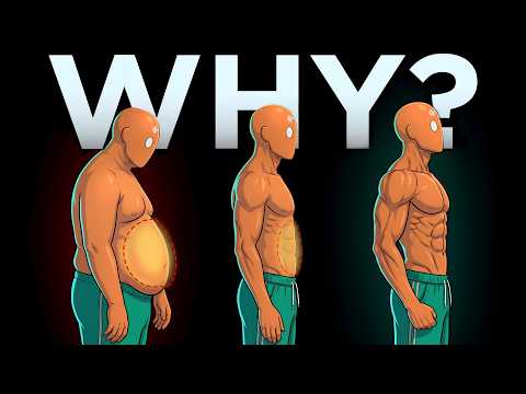Why You Lose Fat Everywhere EXCEPT Your Belly