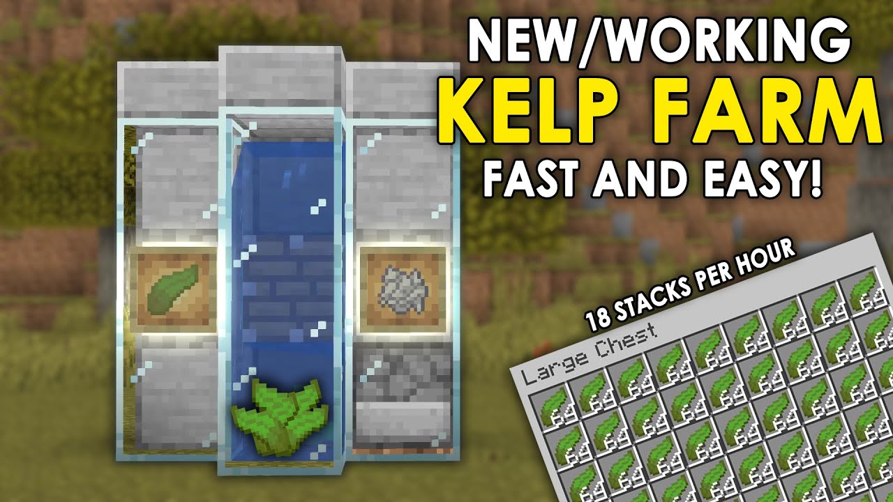 NEW 1.17 Working Kelp Farm for Minecraft Java And Bedrock Edition - YouTube