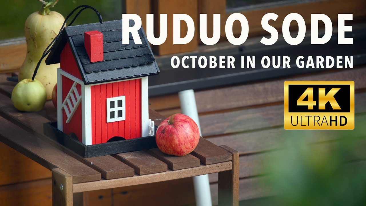 Ruduo mūsų sode / October in our garden #garden #gardening #4k # ...
