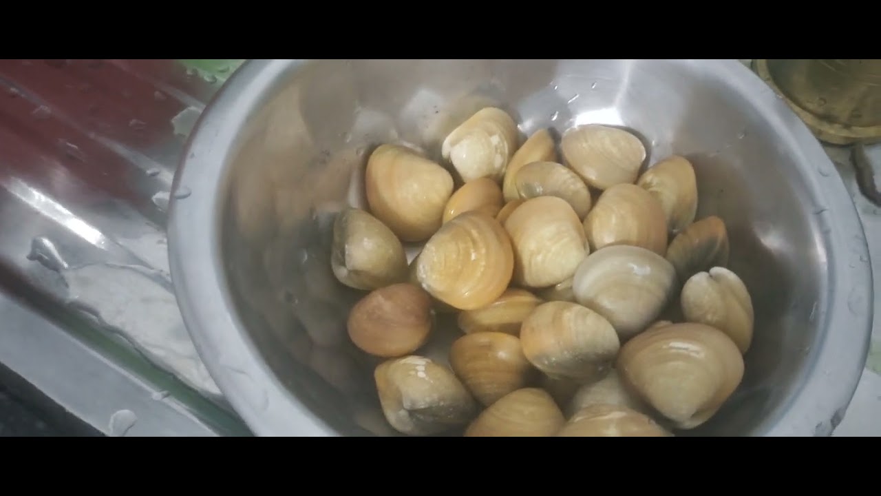 Sea shells maruvayi in Mangalore........Stella The Star.......... - YouTube