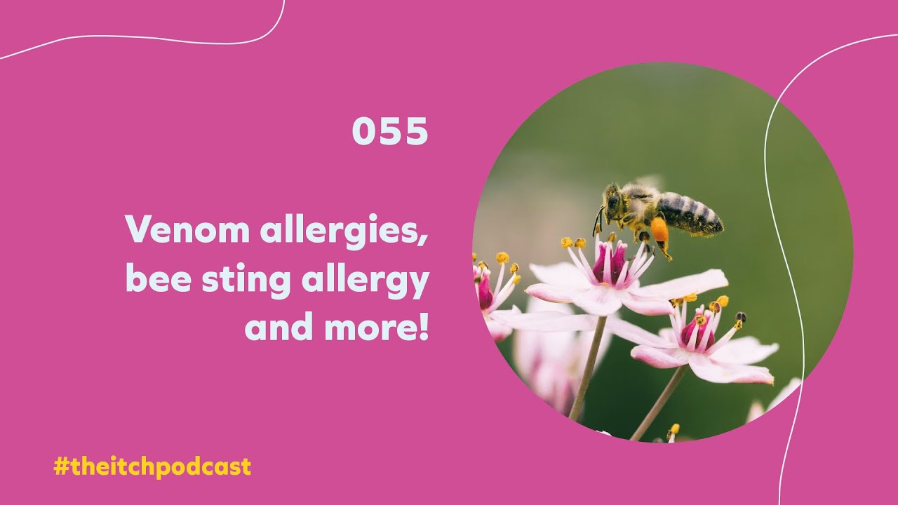 What is a venom allergy? - YouTube