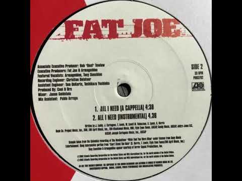 Fat Joe ft. Tony Sunshine & Armageddon - All I Need (Acapella) - YouTube