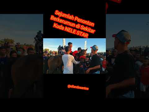 NELE STAR juara 1 Kelas A Grand Final di Maumere 2022 - YouTube