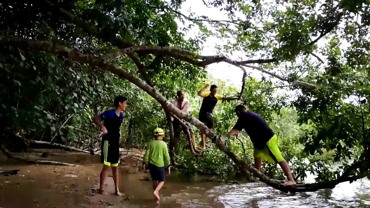 Devolution Monkey Man - YouTube