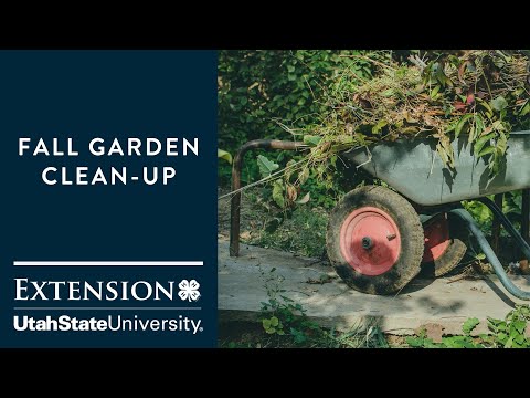 How To Prepare Shrubs For First Winter Utah