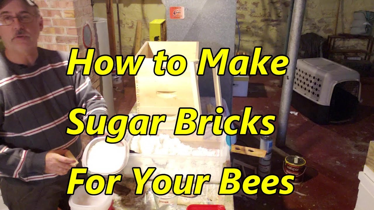 How to Make Sugar Bricks for Your Bees - YouTube