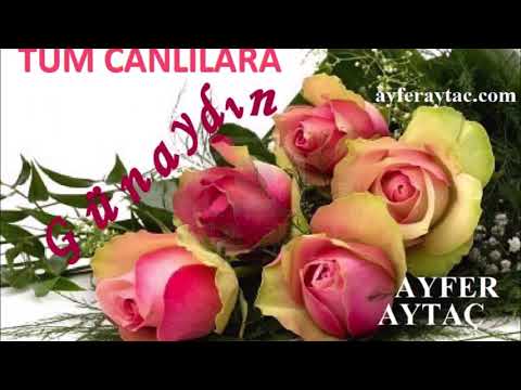 GÜNAYDIN İYİLERE... İYİLİKLERE...