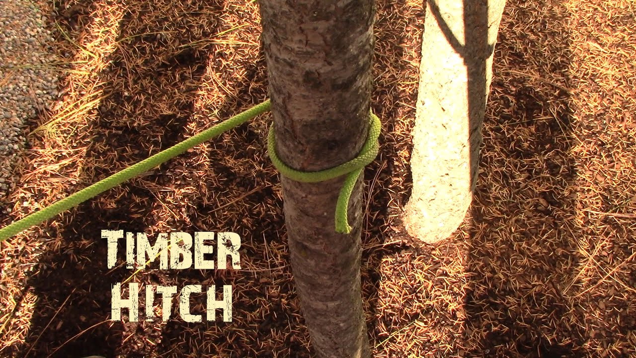 Timber Hitch - YouTube
