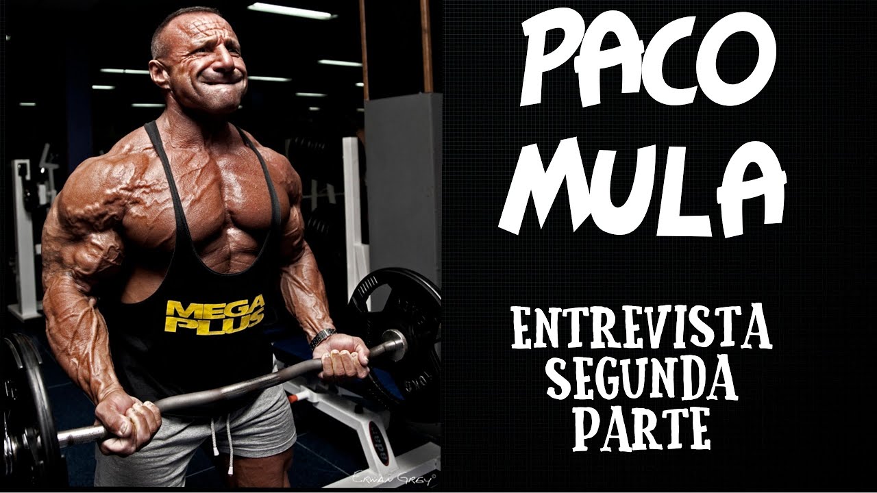 PACO MULA , ENTREVISTA SEGUNDA PARTE - YouTube